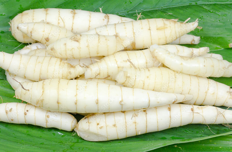 Củ dong riềng - Loại củ quen thuộc với người Việt, rất tốt cho sức khỏe