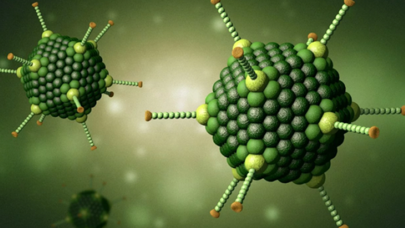 Nhiễm Adeno virus